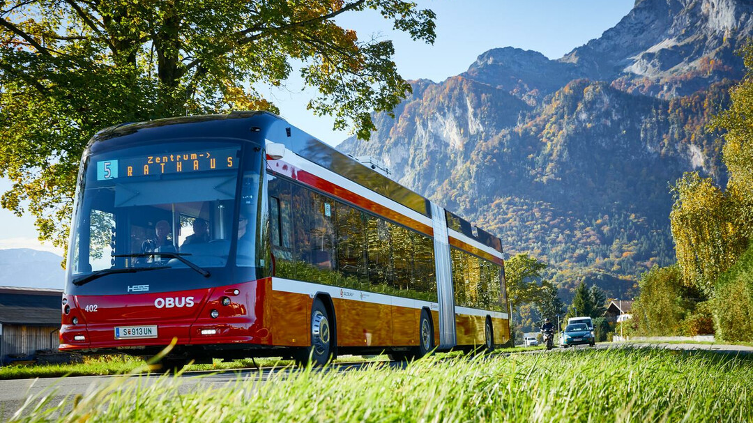 Free public transport for tourists: sustainable mobility or urban ...